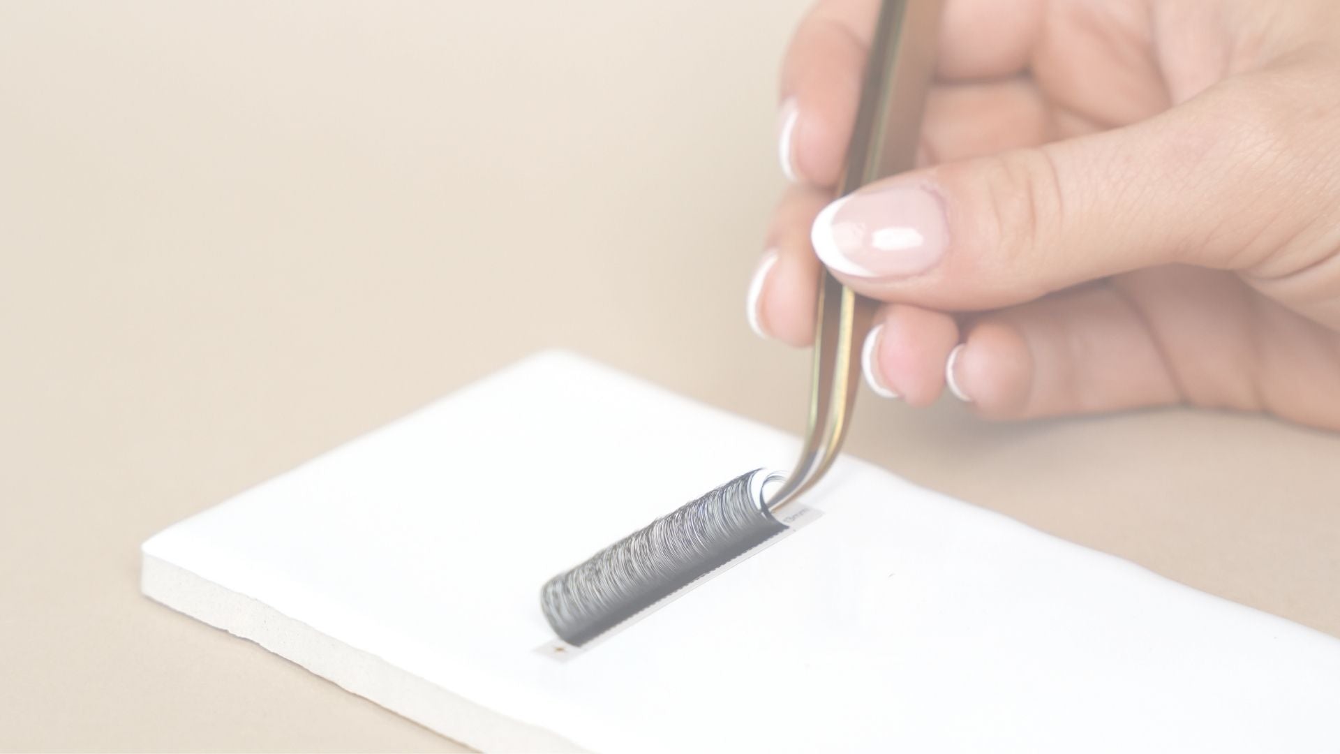 Learn Quick Fans – Light Heart